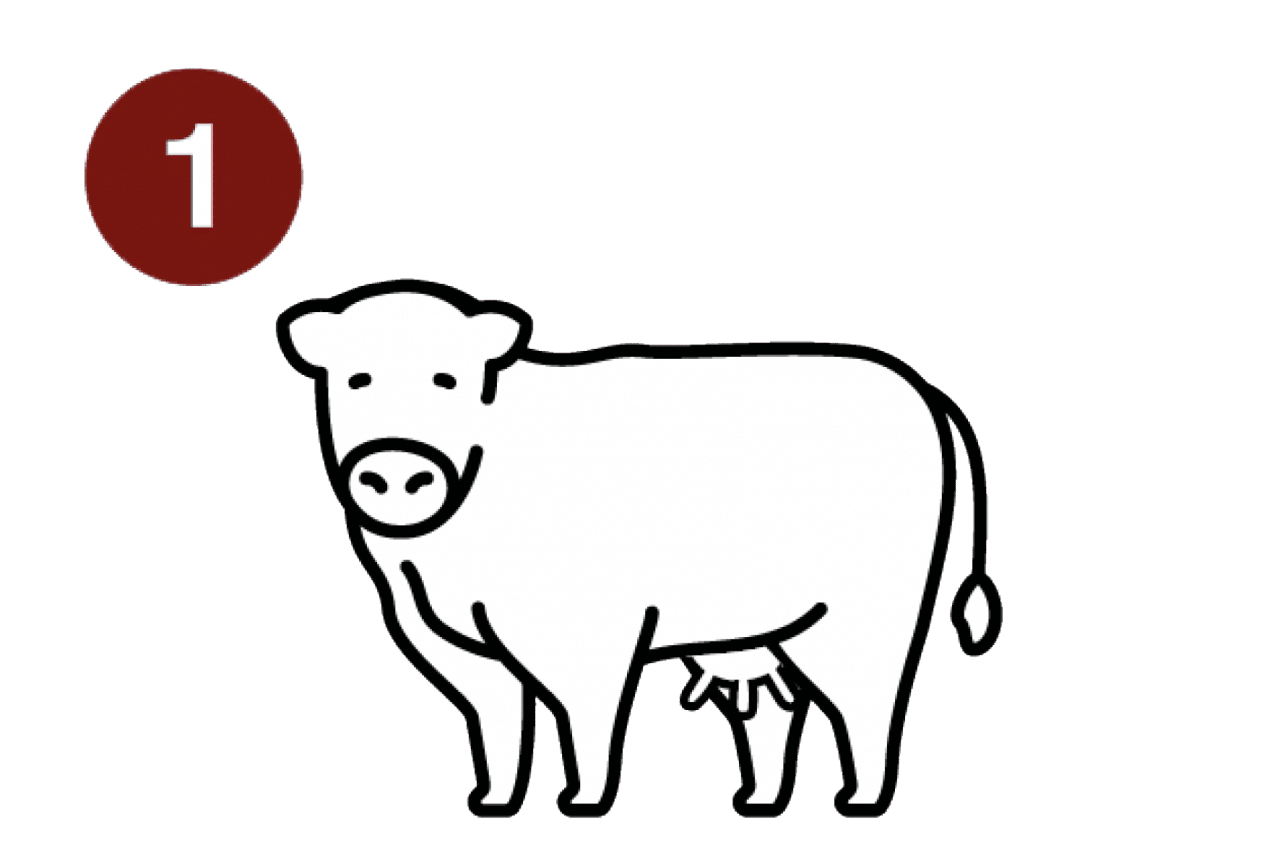 IDEXX SNAPduo ST Plus Test für den neuen RohmilchGüV-Standard - Bentley ...